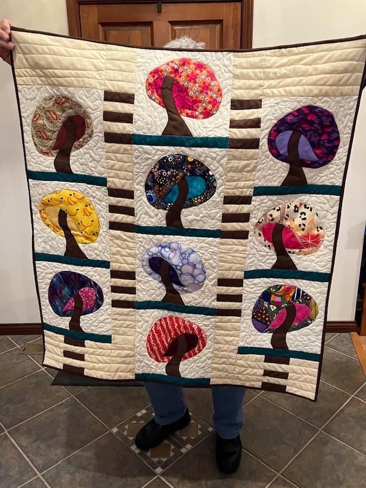 PAD Quilts by Others – Presto Avenue Designs